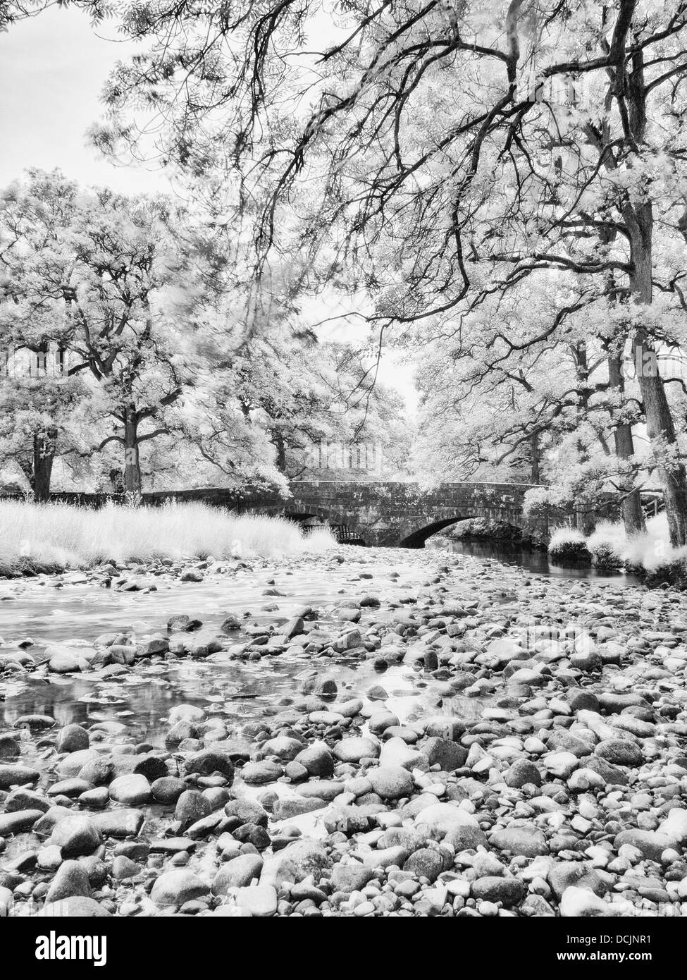 Infrared, River Wyre, Abbeystead, Lancashire, UK Stock Photo - Alamy