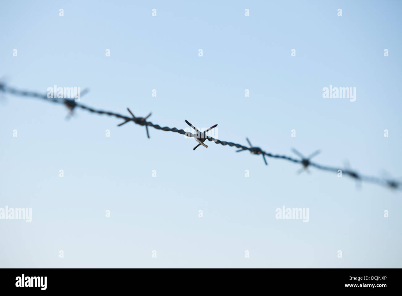 Studio at the barbed wire hi-res stock photography and images - Alamy