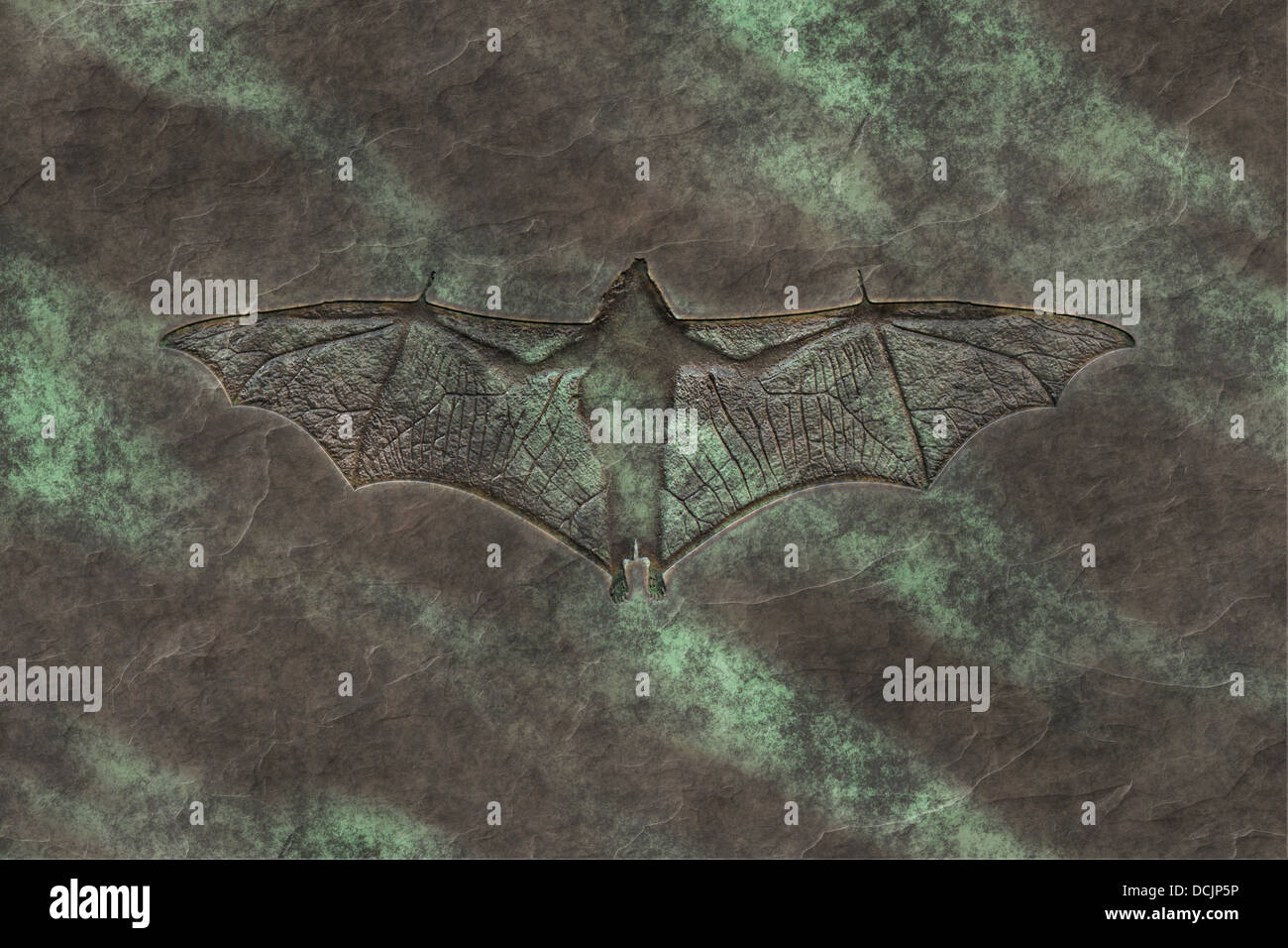 Bat texture hi-res stock photography and images - Alamy