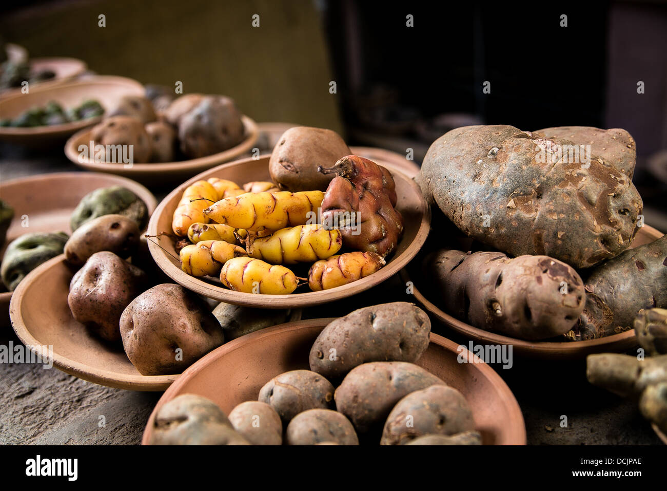 Various kinds of Peruvian potatoes. Different colors and shapes and ...