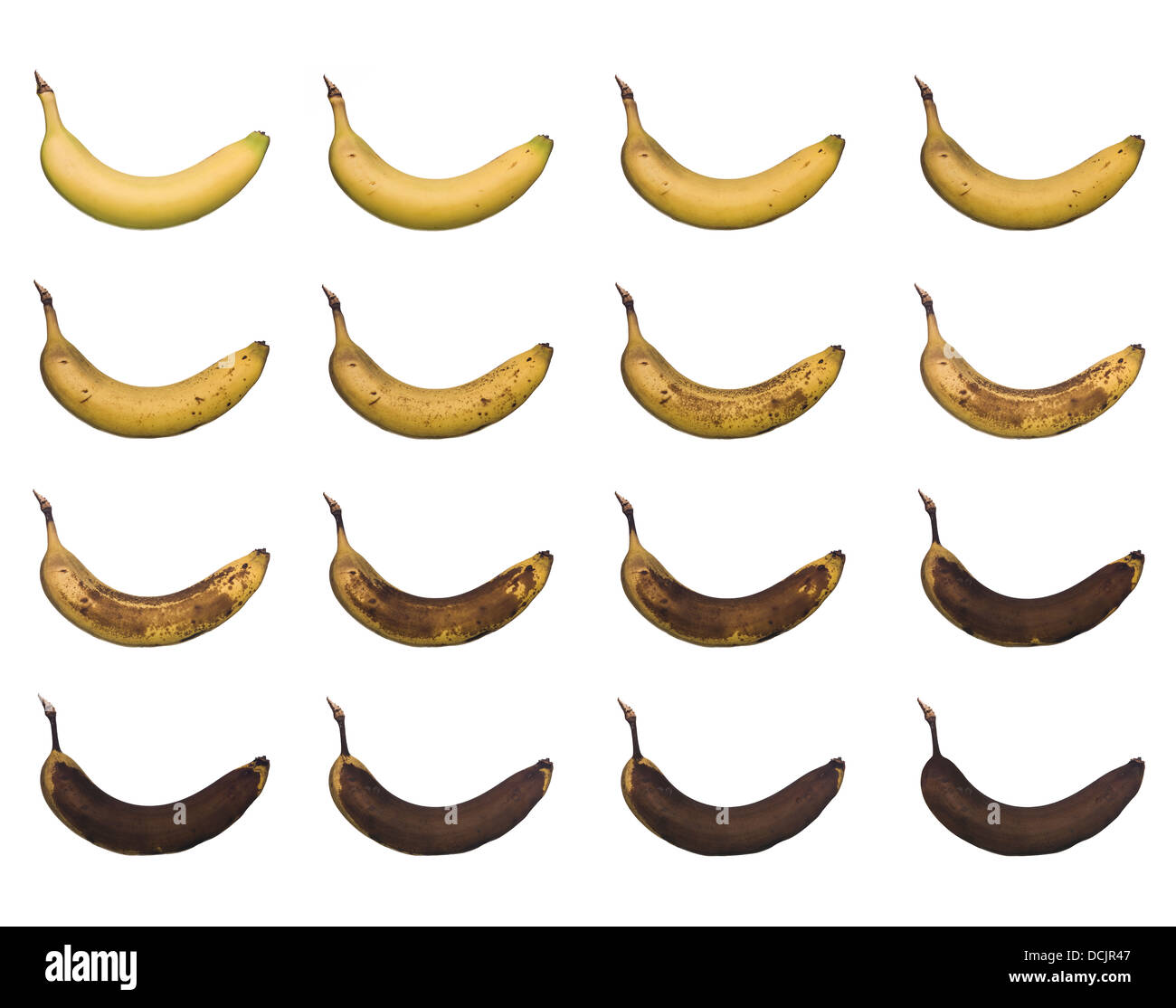 Rotting food progress hi-res stock photography and images - Alamy