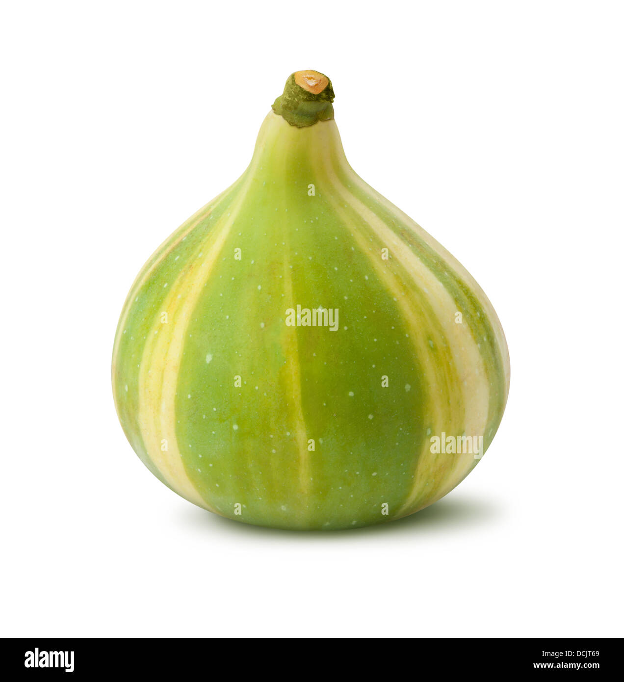 Panache Striped Tiger Fig isolated on white Stock Photo - Alamy