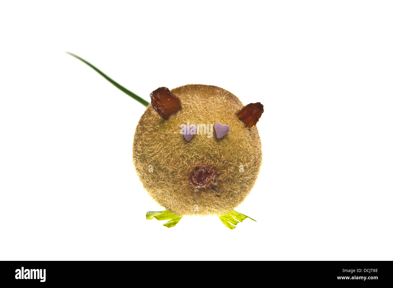 Kiwi animal hi-res stock photography and images - Alamy