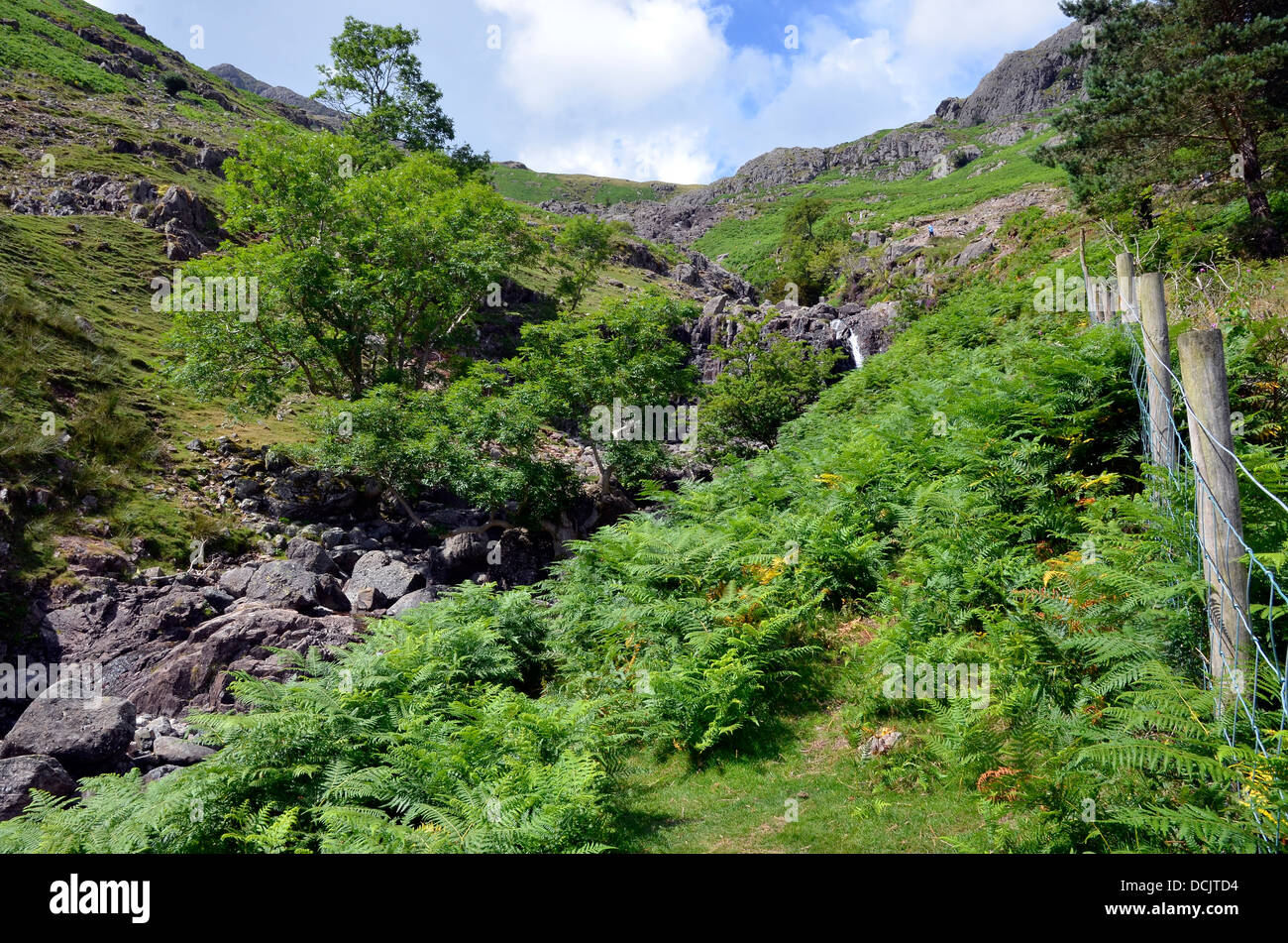 The Stickle Ghyll stream flowing into Langdale - the walking route for ...