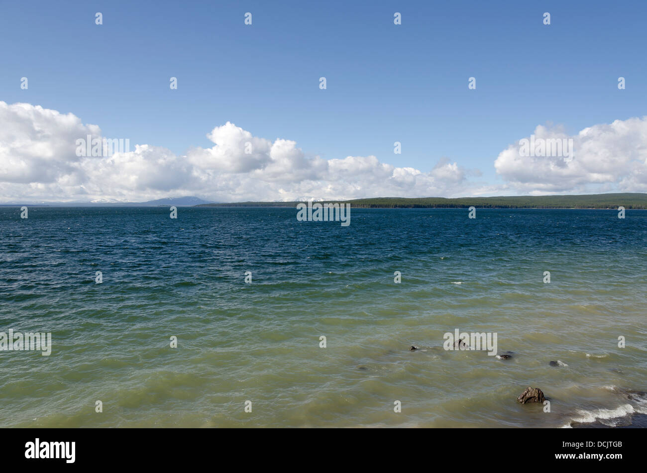 Yellowstone grass hi-res stock photography and images - Alamy