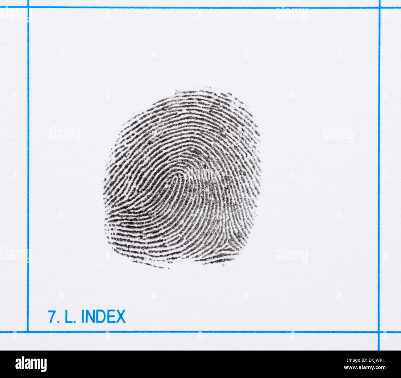 Fingerprint of a left index finger showing a whorl and various minutiae ...