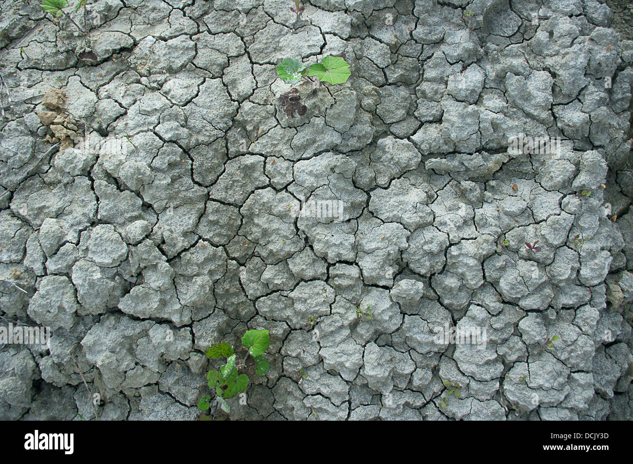 Scorched High Resolution Stock Photography and Images - Alamy