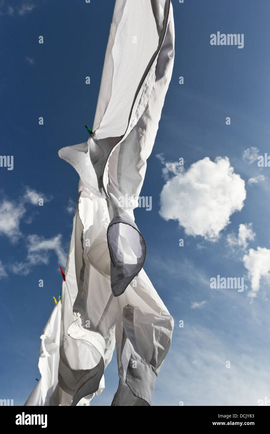 White shirts hanging on washing line against a blue sky with fluffy ...