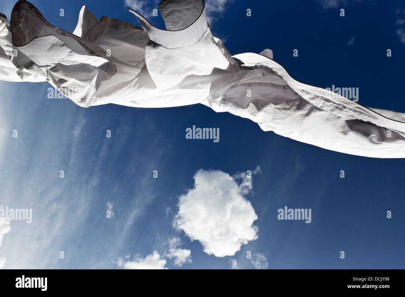 White shirts dry on a washing line witha blue sky backdrop Stock Photo ...