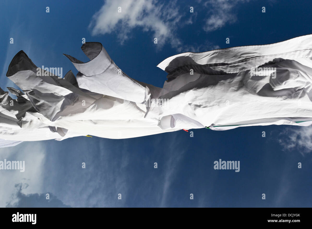 White shirts hanging on washing line against a blue sky with fluffy and ...