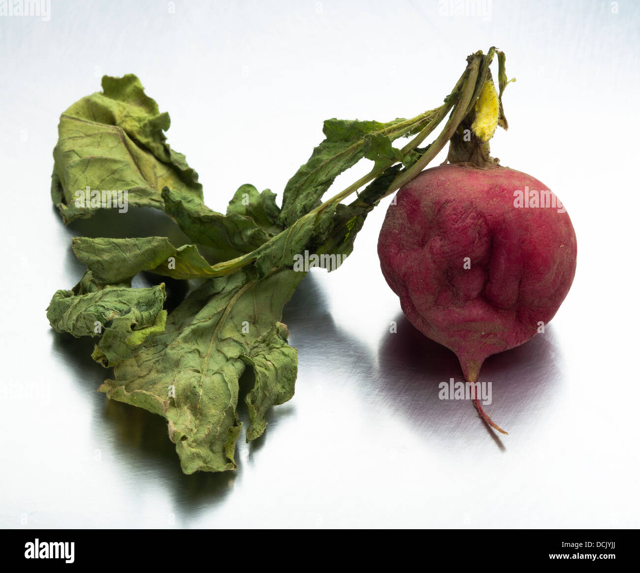 Vegetable portrait hi-res stock photography and images - Alamy