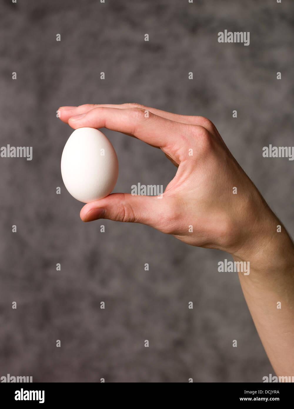 Hand holding an egg Stock Photo - Alamy