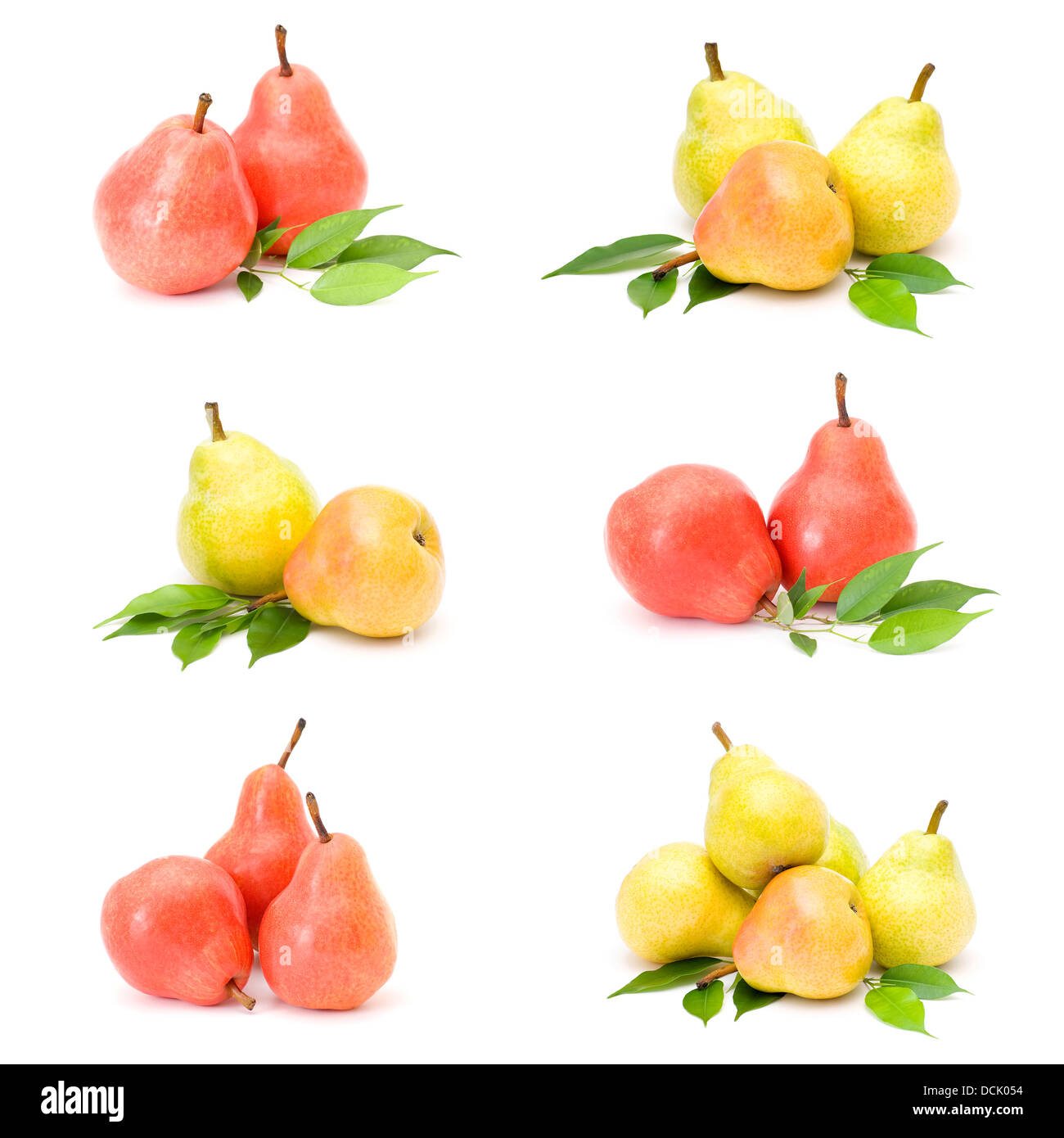 collection of fresh pear fruits Stock Photo - Alamy