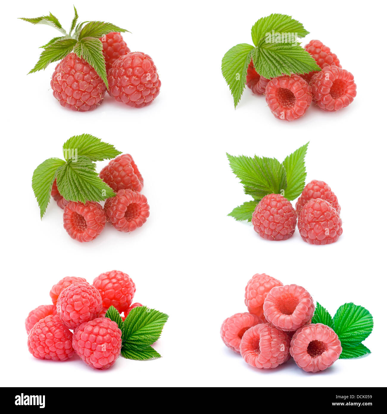 collection of fresh raspberries Stock Photo - Alamy