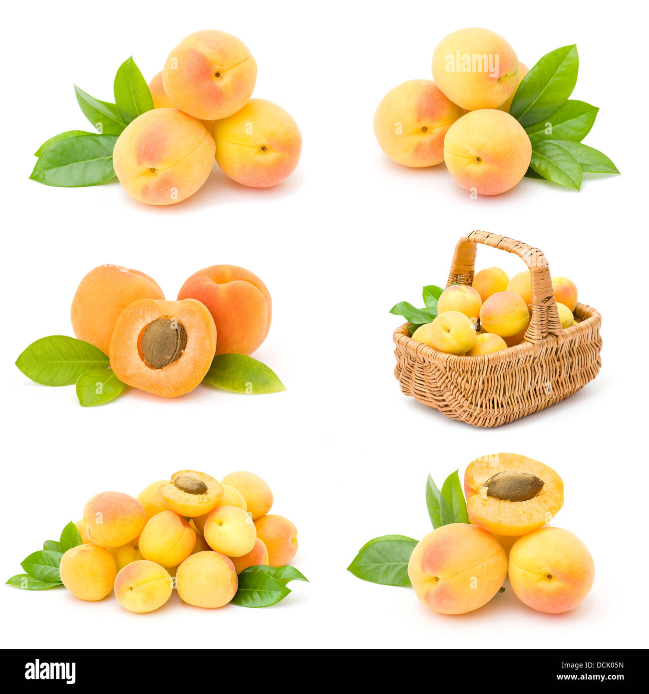 collection of fresh apricot fruits Stock Photo - Alamy