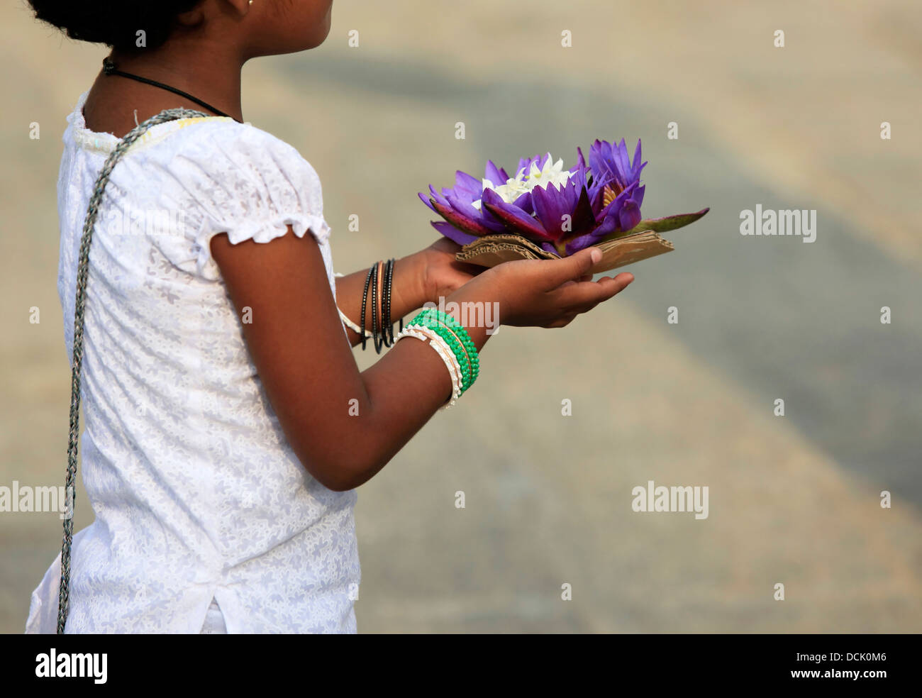 Buddha hand lotus hi-res stock photography and images - Alamy