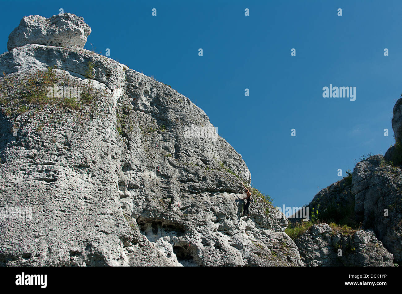 Muscles on rocks hi-res stock photography and images - Alamy