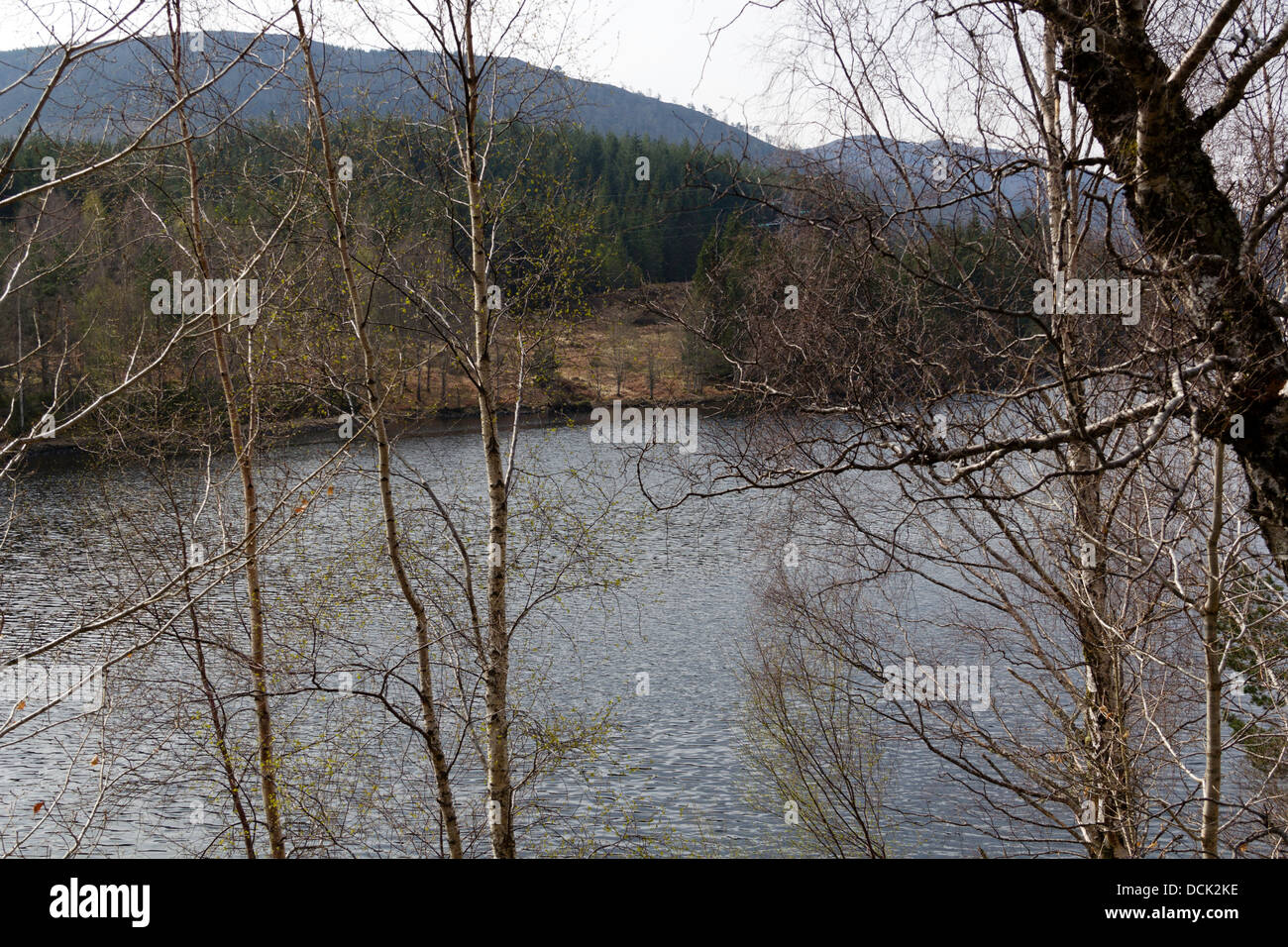 View of narrow section of Loch through trees in the Scottish Highlands ...