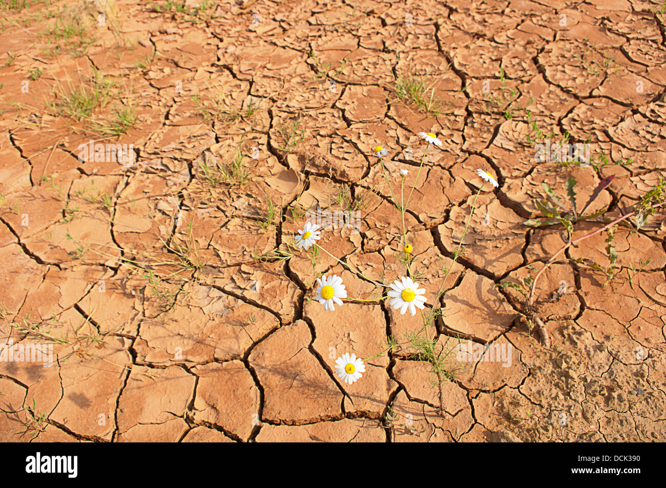 Scorched earth hi-res stock photography and images - Alamy