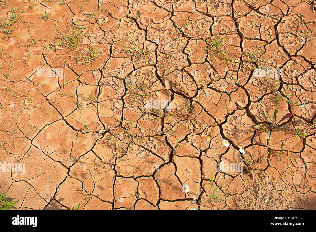Scorched earth hi-res stock photography and images - Alamy