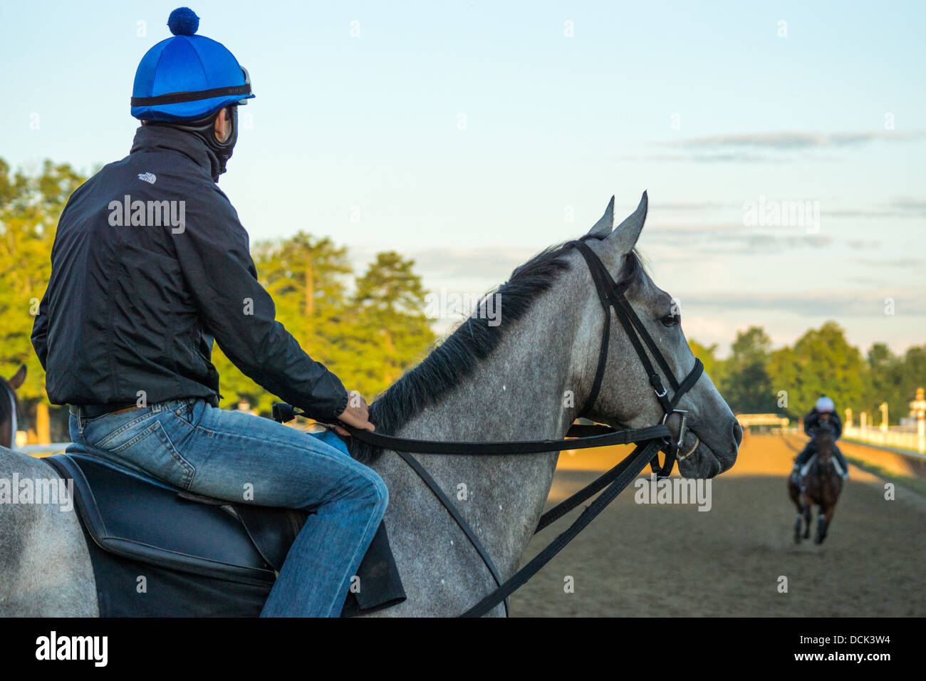 Thoroughbreds training hi-res stock photography and images - Alamy