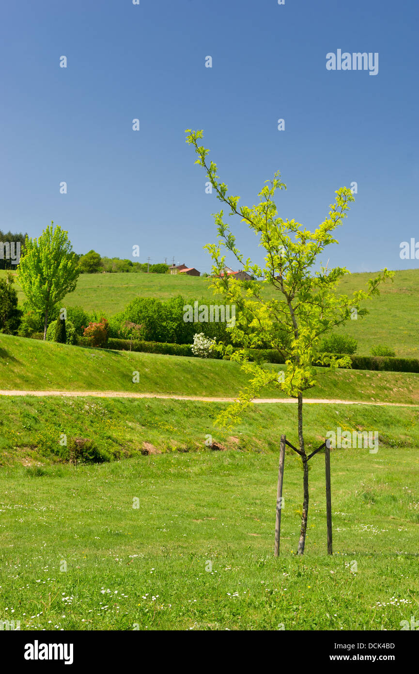 Haute vienne hi-res stock photography and images - Alamy