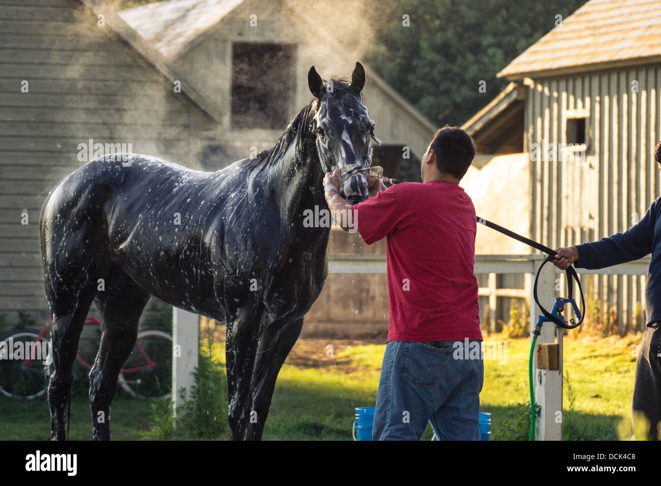 Plastic Racetrack High Resolution Stock Photography and Images - Alamy