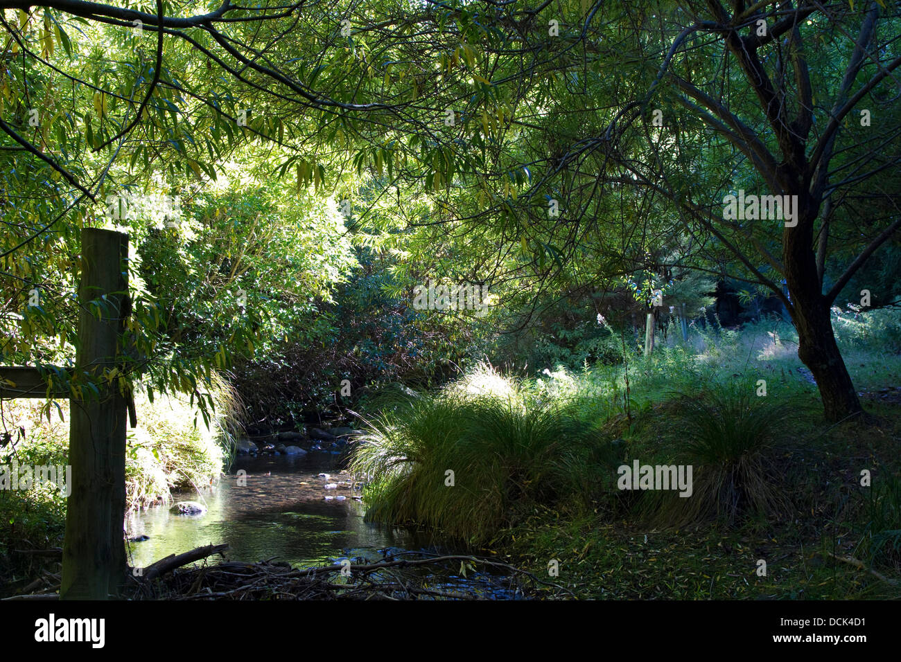 Streamenchanted hi-res stock photography and images - Alamy