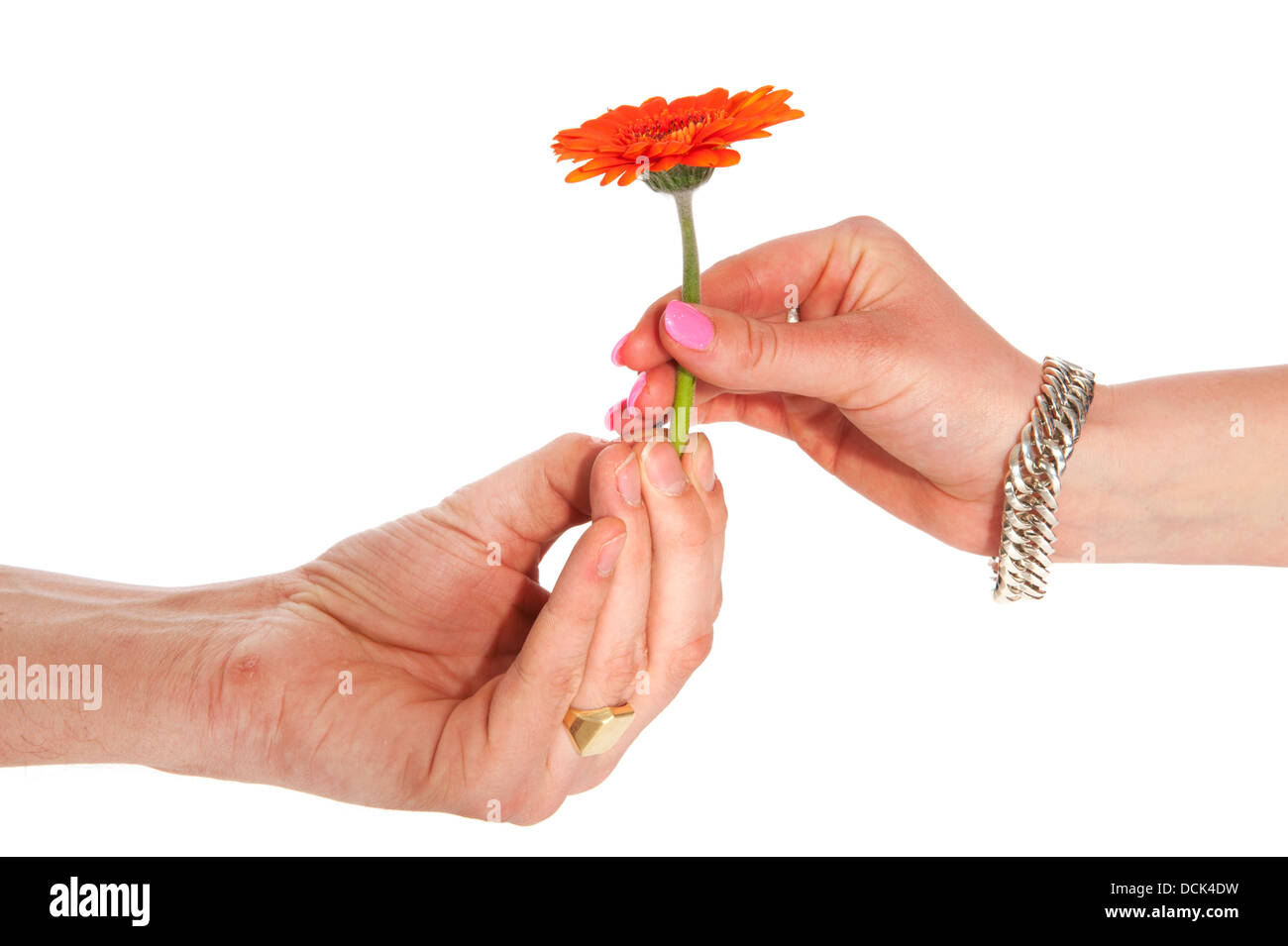 Giving a flower Stock Photo - Alamy