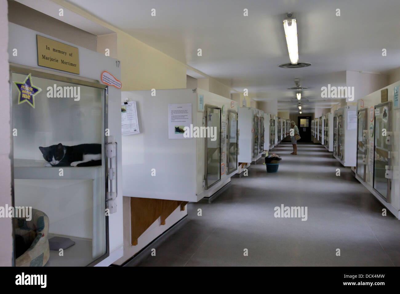 RSPCA Blackberry Farm Animal Centre - Waddesdon - Buckinghamshire Stock ...