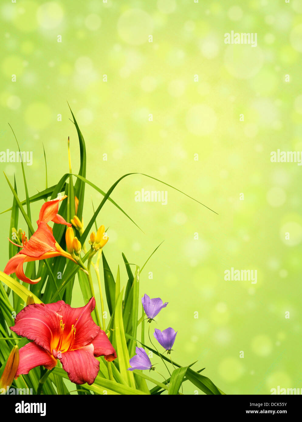 Real flower border hi-res stock photography and images - Alamy