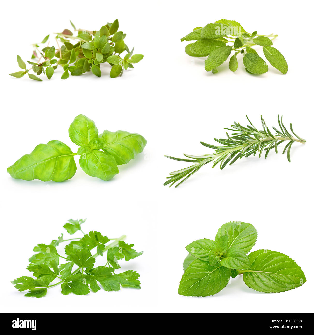 Vegetable and medicinal herb Cut Out Stock Images & Pictures - Alamy