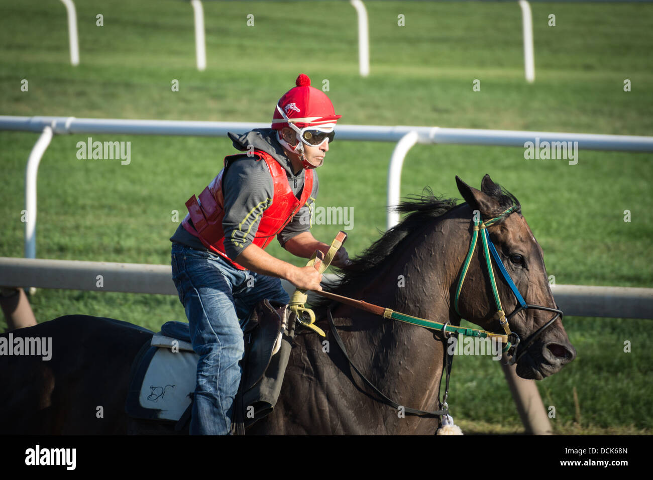 Horse and rider morning exercise racing race track hi-res stock ...