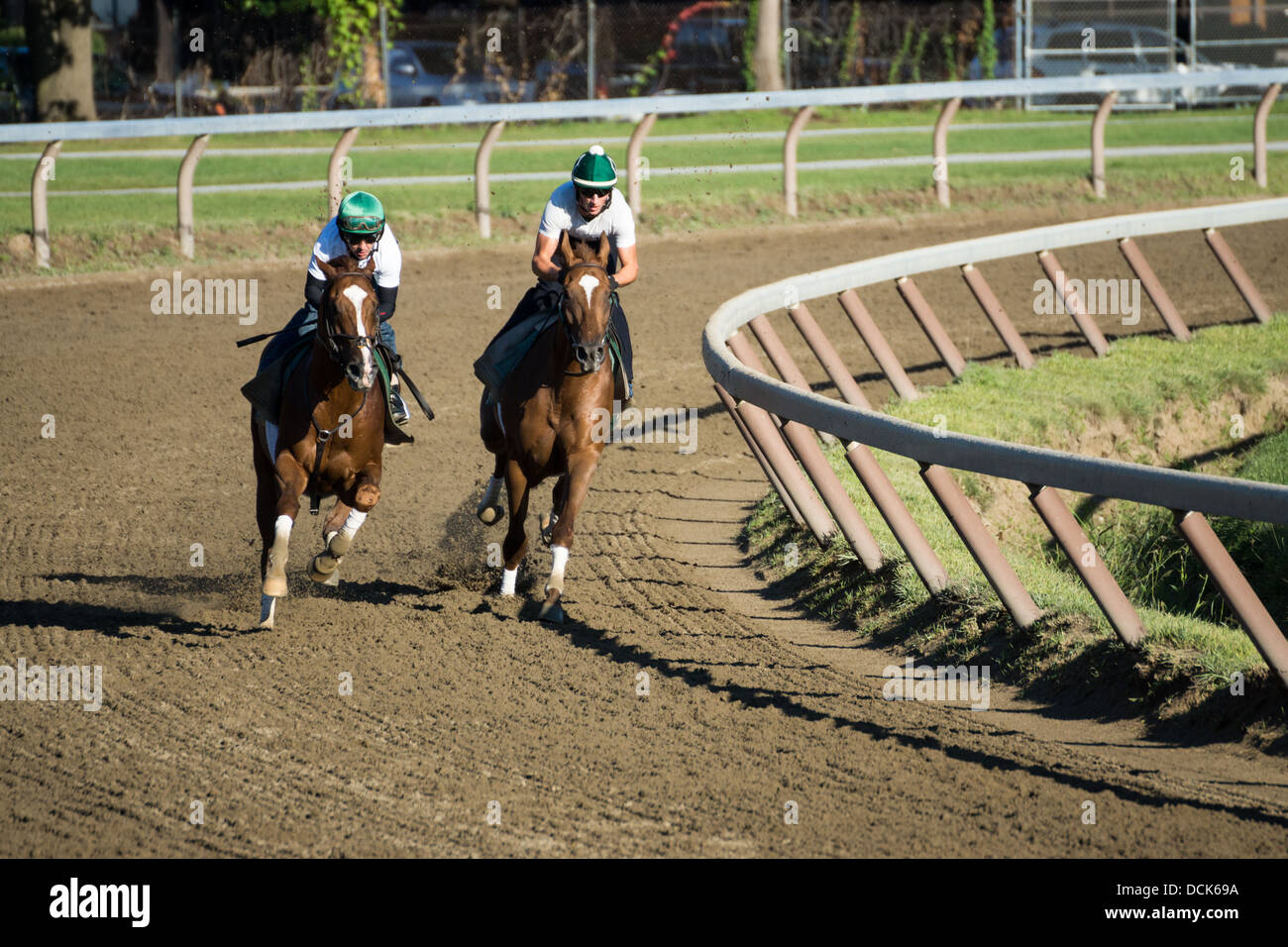 Horse And Rider Morning Exercise Racing Race Track High Resolution ...