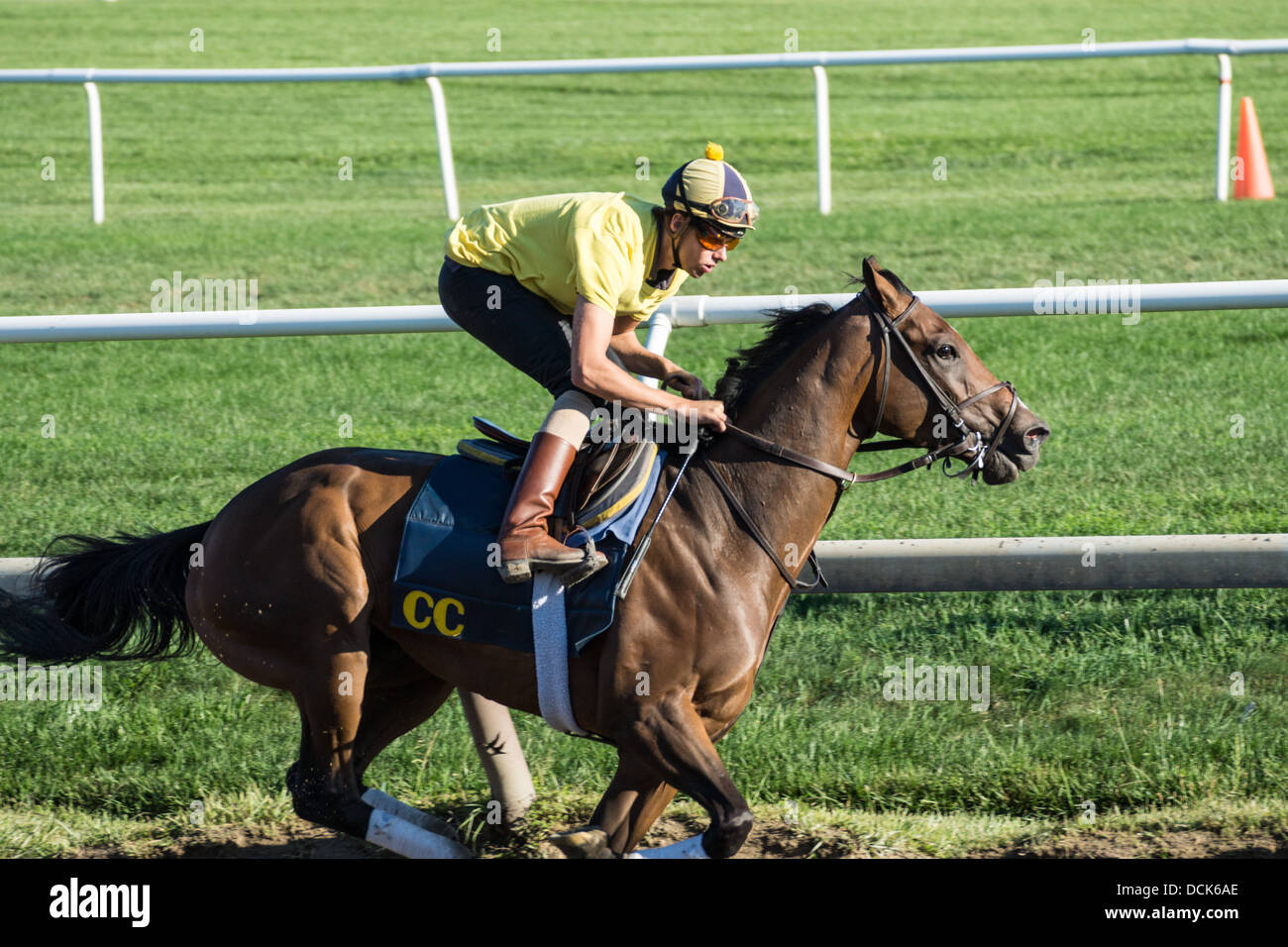Horse and rider morning exercise racing race track hi-res stock ...