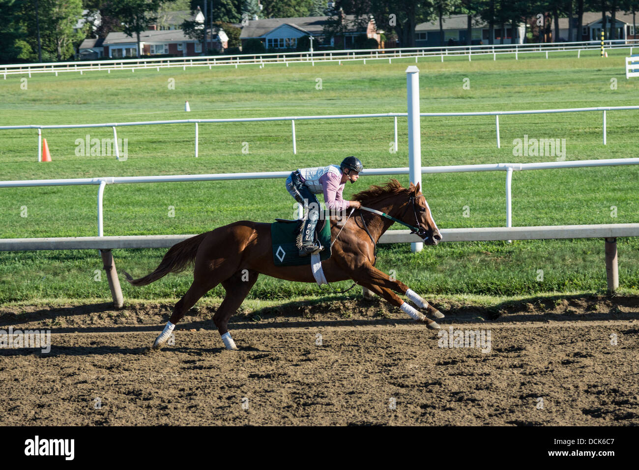 Horse and rider morning exercise racing race track hi-res stock ...