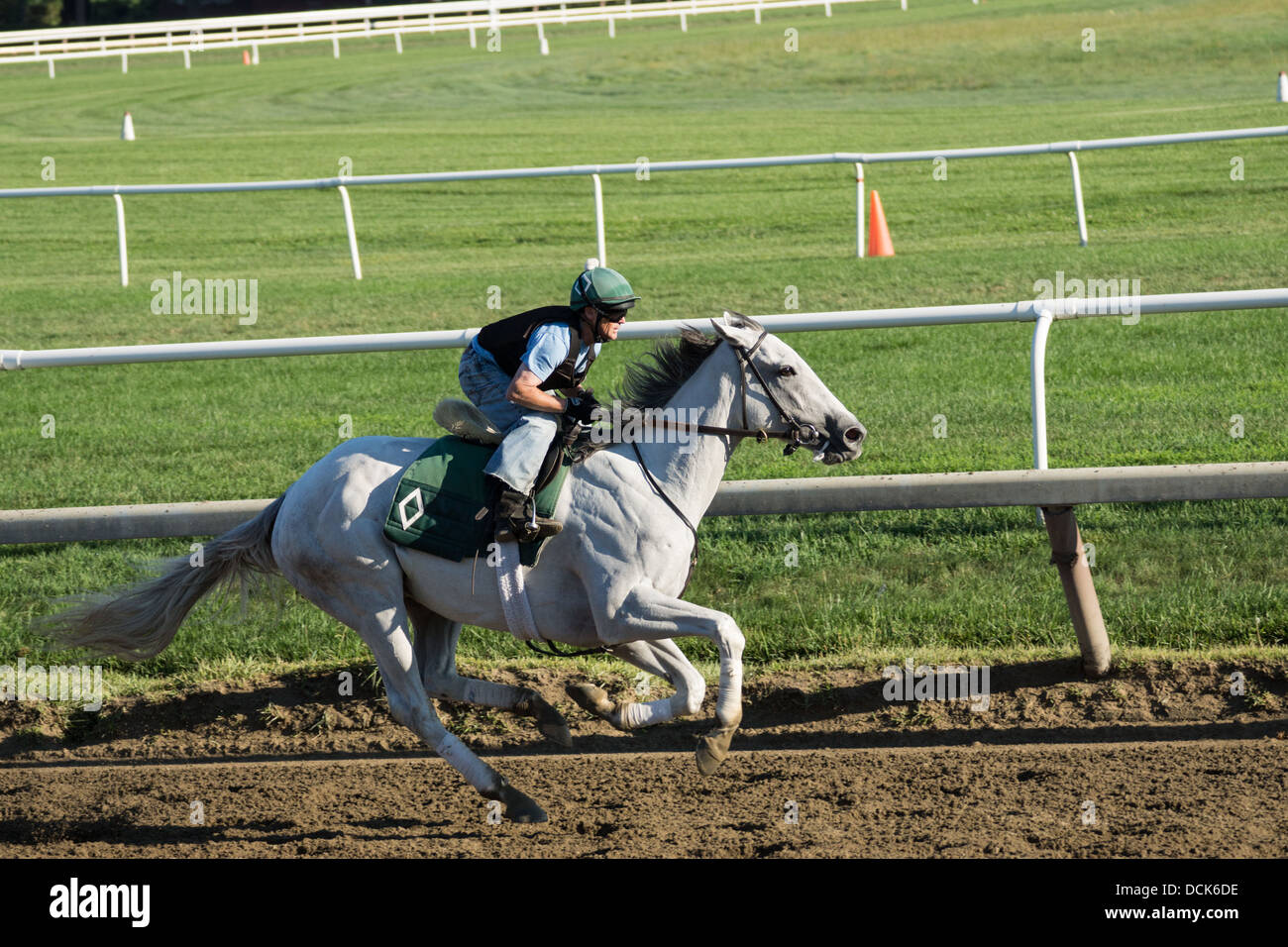 Horse and rider morning exercise racing race track hi-res stock ...