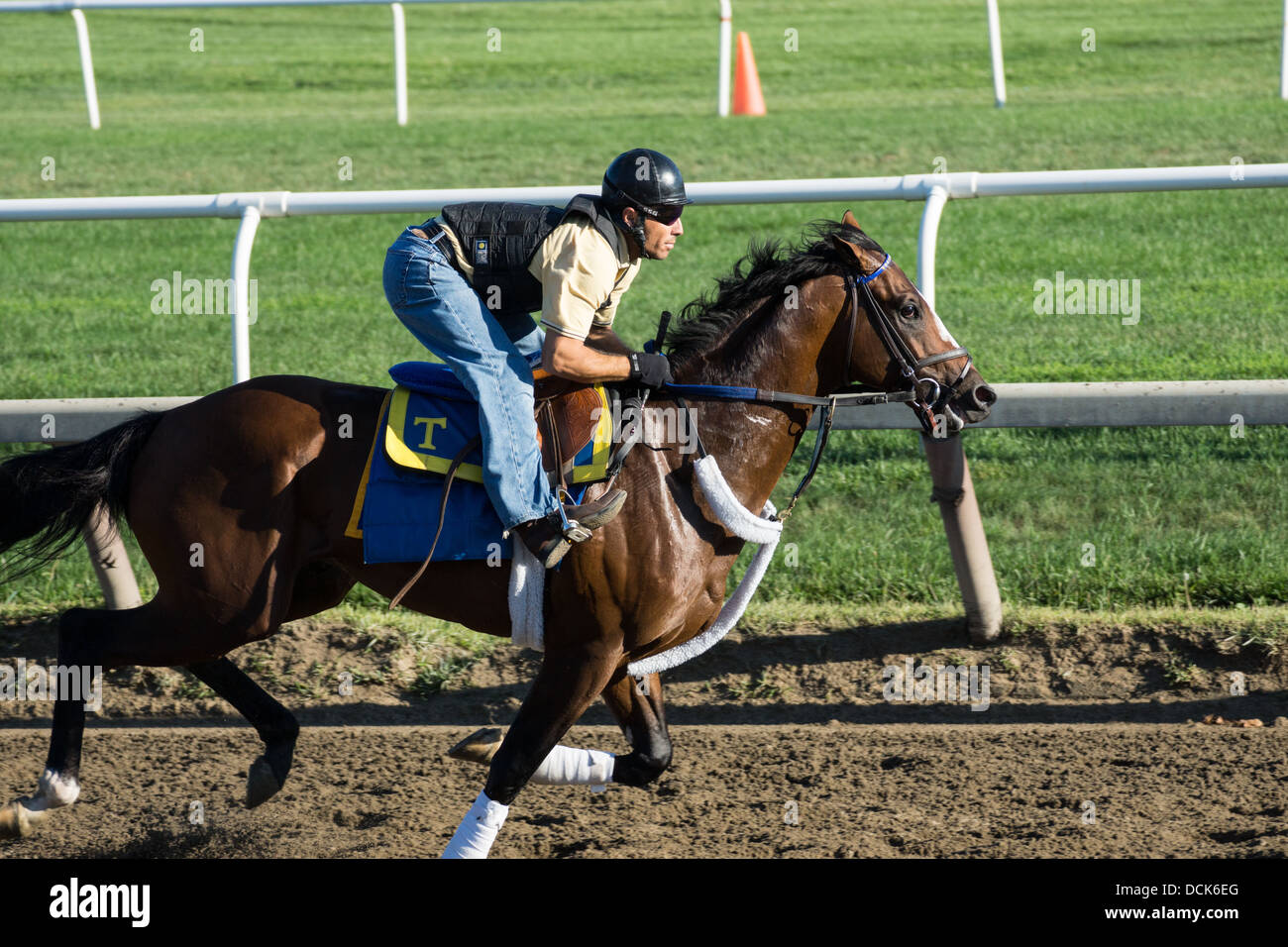 Horse And Rider Morning Exercise Racing Race Track High Resolution ...