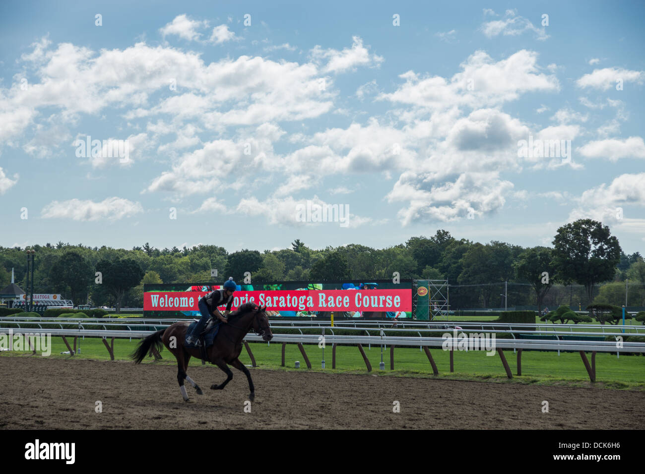 Horse and rider morning exercise racing race track hi-res stock ...
