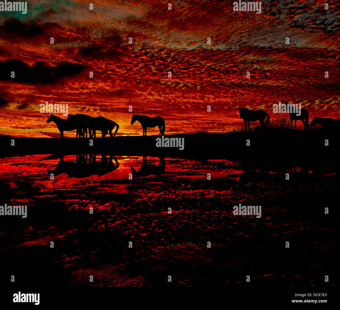 Wild Horses At Sunset Silhouette