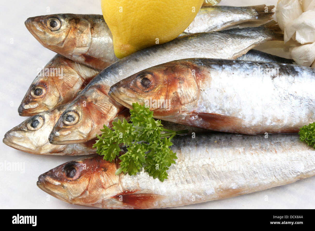 some fresh sardines before cooking as food Stock Photo - Alamy