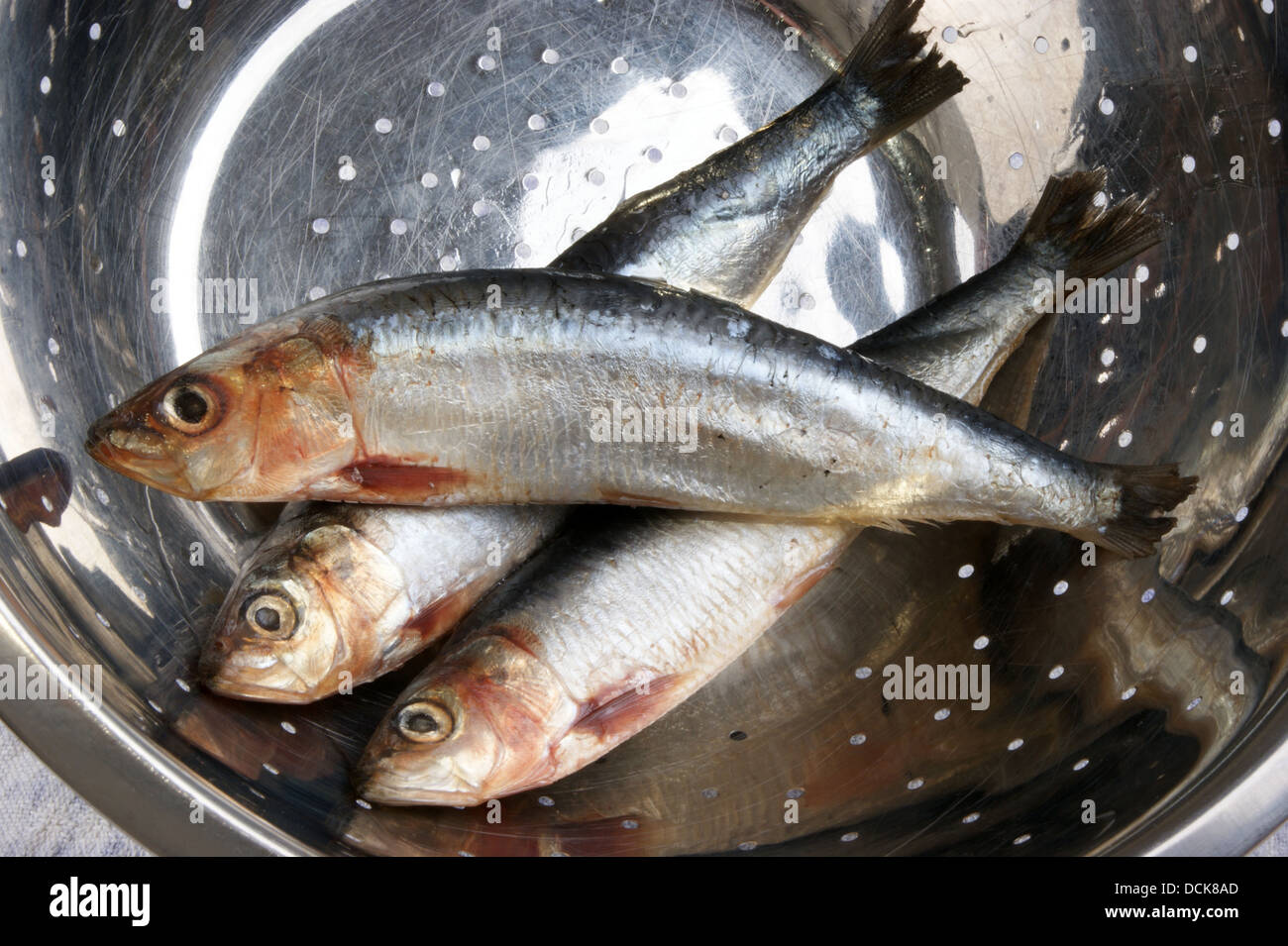 Cleaned fresh sardines hi-res stock photography and images - Alamy