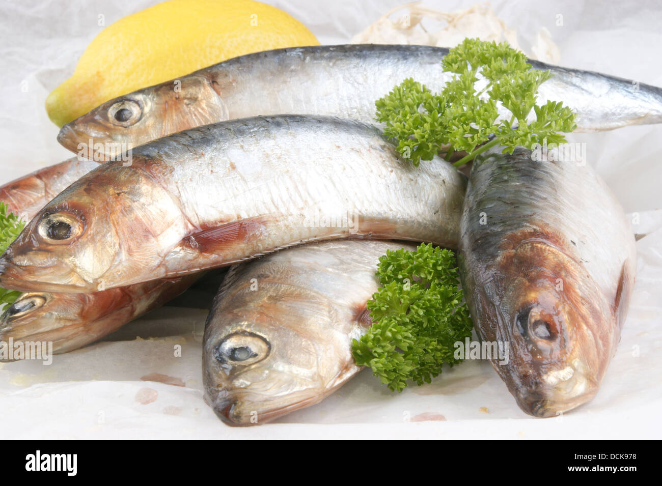 Eating a sardine hi-res stock photography and images - Alamy