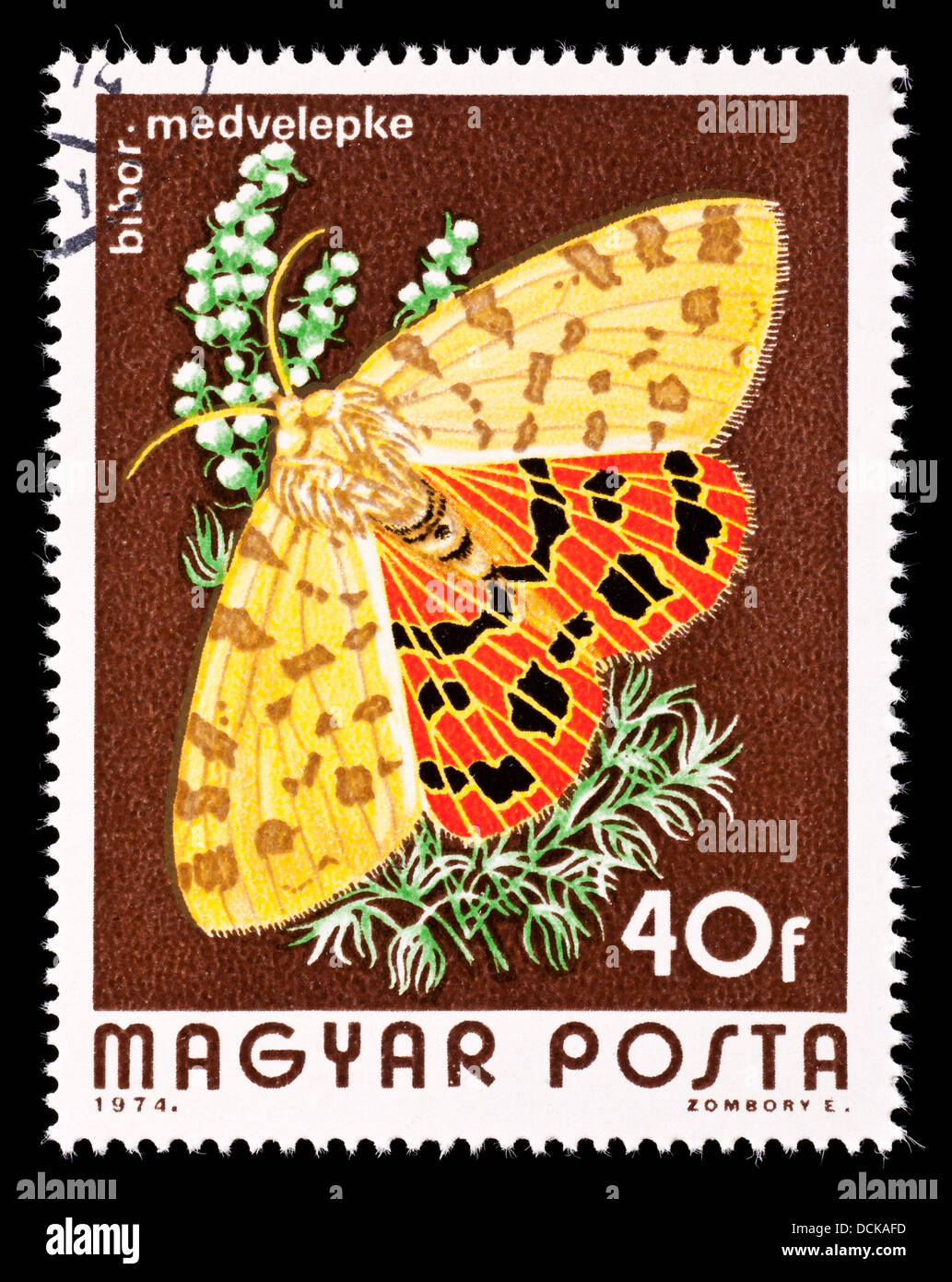Postage stamp from Hungary depicting a Purple Tiger moth (Rhyparia ...