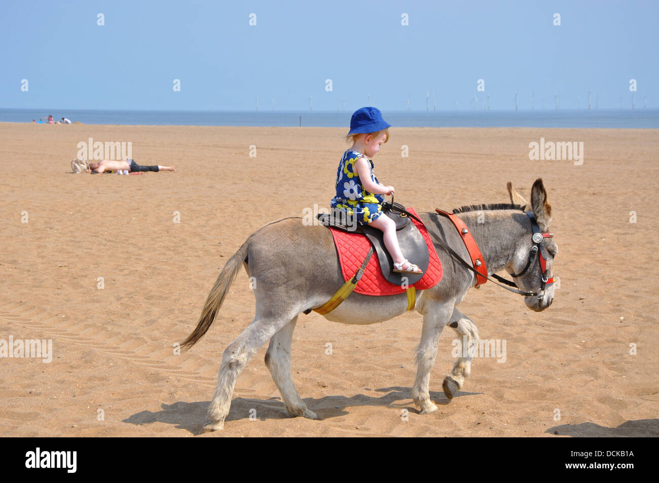 Donkey uk girl hi-res stock photography and images - Alamy