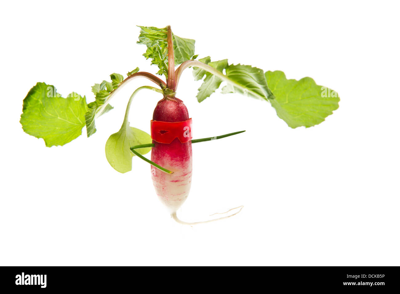 Mr. Zorro Radish Stock Photo - Alamy