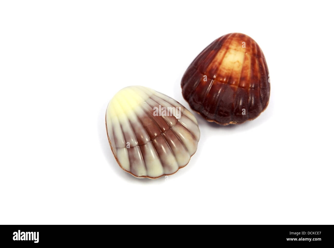 Shape of shell hi-res stock photography and images - Alamy