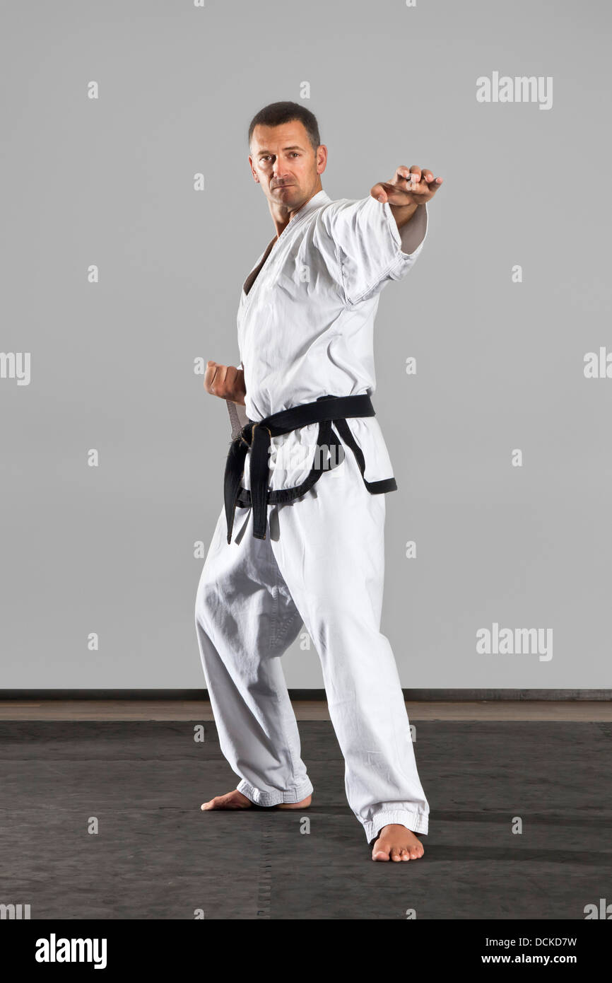 martial arts master Stock Photo - Alamy