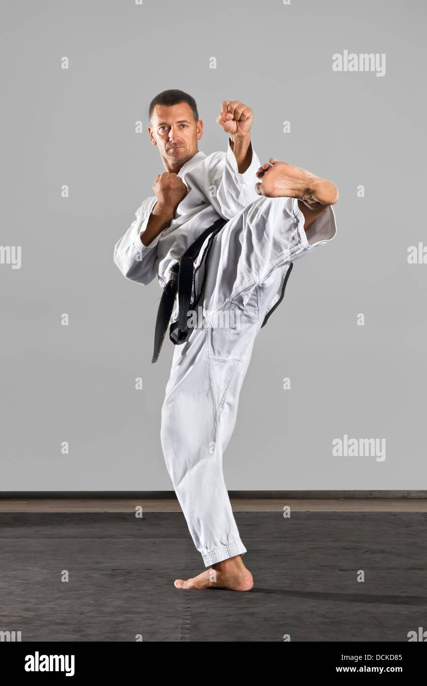 martial arts master Stock Photo - Alamy