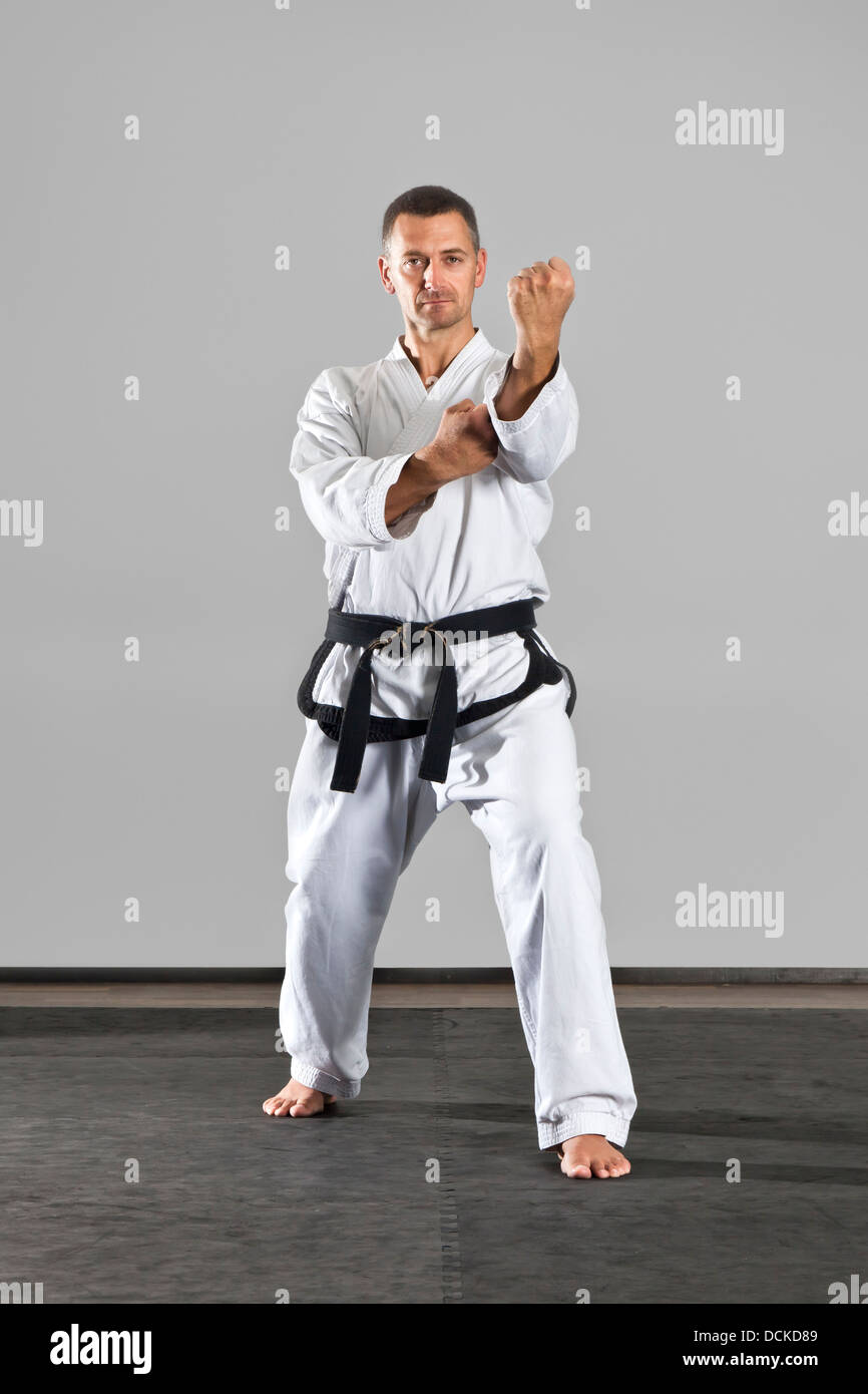martial arts master Stock Photo - Alamy
